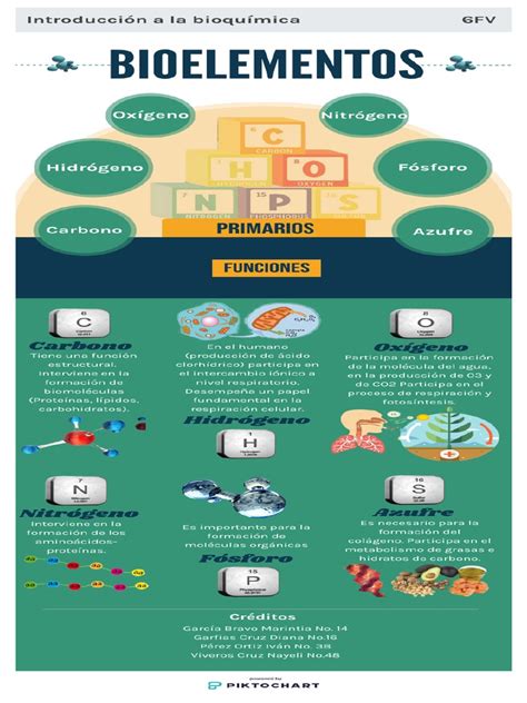 Bioelementos Primarios Pdf