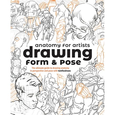 How To Draw The Human Anatomy