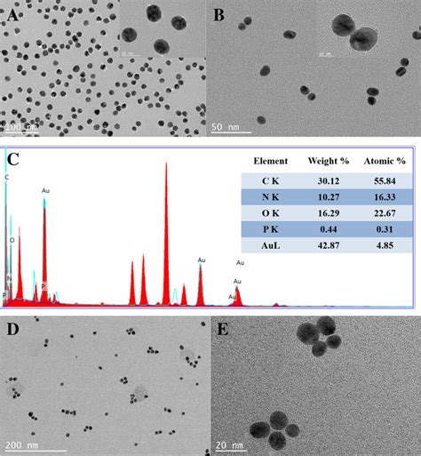 A Tem Image Of Aunps B Tem Image Of Aunps Dimer C Eds Pattern Of Download Scientific Diagram