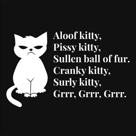 Unitarian Universalist Hysterical Society