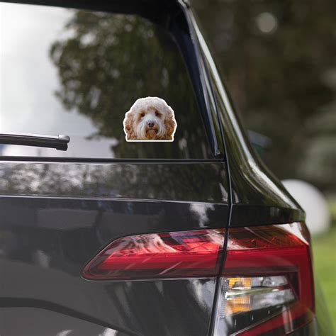 Cockapoo Car Decal Peeking White Sable Dog Waterproof Vinyl Sticker Etsy
