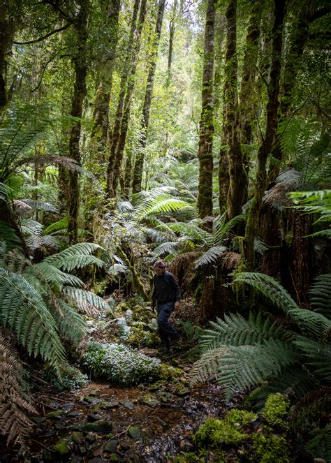 Willoughby 001 Garland Magazine