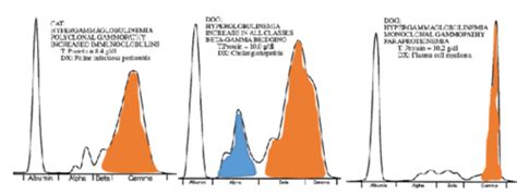 Y2 Pth Clinical Biochemistry 2 Flashcards Quizlet