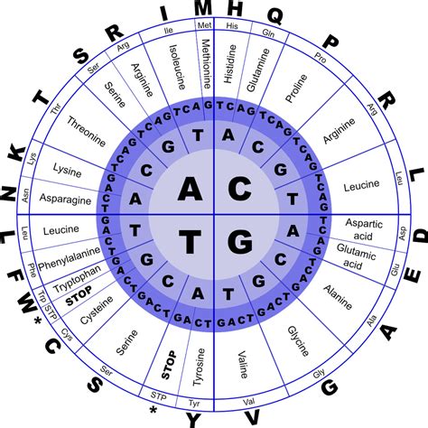 Hgh Human Growth Hormone And Anti Aging Peptide Therapy