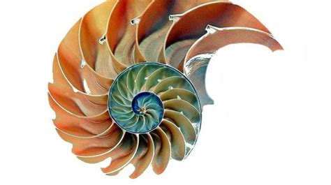 Integral Calculus Through Data And Modeling Datafloq