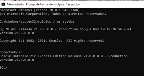 Instalação Oracle 21c Com Erro Sql Com Oracle Manipule E Consulte