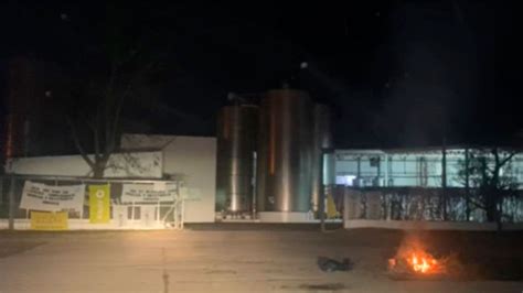 Práctica Repetida Bloqueo Gremial A Una Planta Láctea Genera Tensión