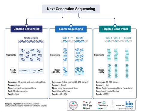 Types Of Generation Sequencing At Carmen Wong Blog