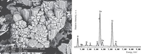 Scanning Electron Microscope Sem Micrograph Of The Chromium