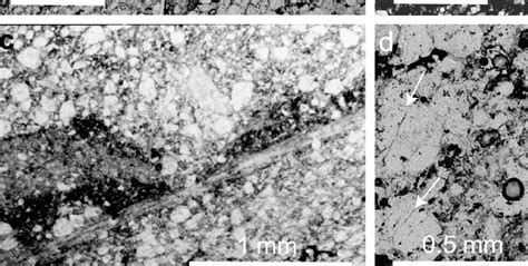 Photomicrographs Of Fault Core Microstructures A Plane Polarized