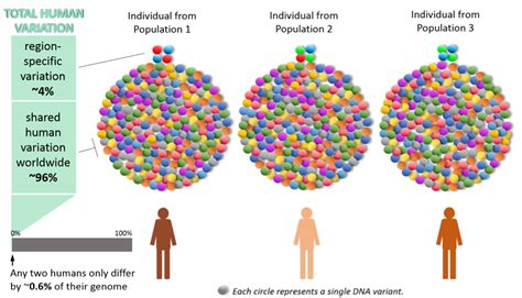 What Can Genetic Testing Tell You About ‘race • Sftp Magazine