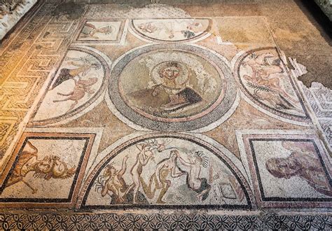 These Mosaics Survived A Millennia Heres What They Revealed About