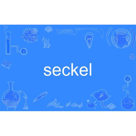 Seckel百度百科