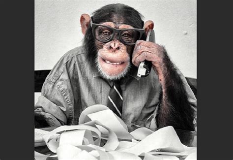 Bani Adam Atau Bani Monyet