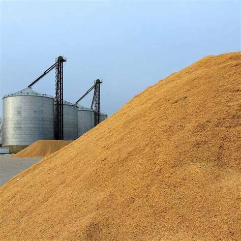 Industrial Corn Paddy Drying Machine Indian Paddy Dryer Tower Grain Dryer And Wheat Dryer