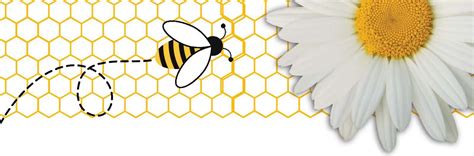 River Hospital Daisy And Bee Award