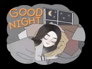 Good Night  Funny Good Night  Good Night Cat Good Night Funny