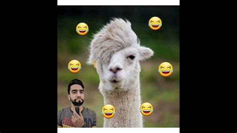 براتون مدل مویه پسرای دهه هشتادی رو آوردم😂😂👌 Youtube