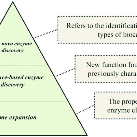 Hierarchical Structure Of Metagenomics Enzyme Discovery Download