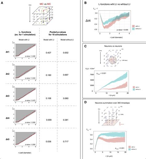 Dynamic Spatiotemporal Coordination Of Neural Stem Cell Fate Decisions Occurs Through Local