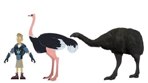 Giant Moa Size Comparison By Bvega41 On Deviantart