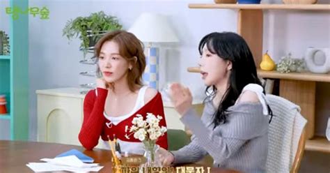 태연 파워 내향인 일할 땐 E가 돼다운되면 안 된단 생각에 탱나무숲