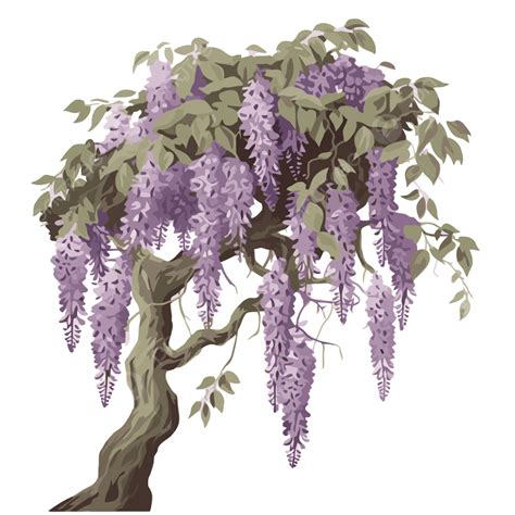 Wisteria Tree Drawing Easy At Susie Branch Blog