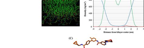 Gk6 In Dppc Bilayer A Mass Density Profile B And Extended Download Scientific Diagram