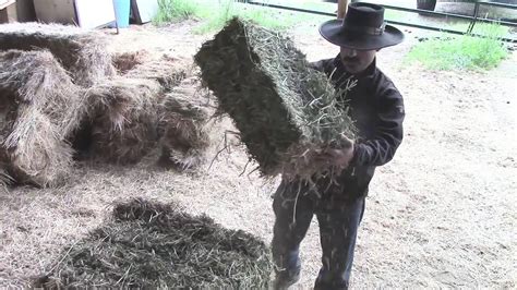 Trek Tip What Is A Flake Of Hay Youtube