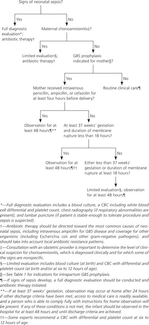 Cdc Updates Guidelines For The Prevention Of Perinatal Gbs Disease Aafp
