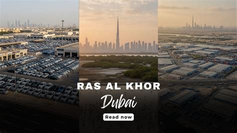 Ras Al Khor Dubai Wildlife Auto Market And Hidden Gems Captain Dunes