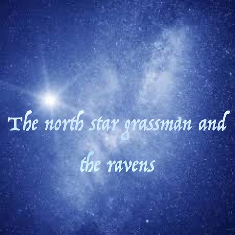 The North Star Grassman And The Ravens Single By Sesam Spotify