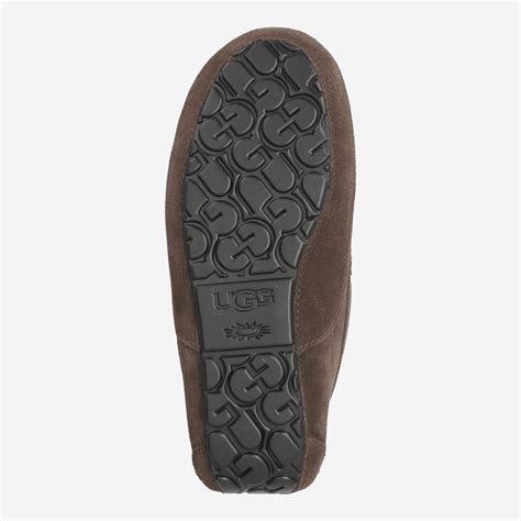 Ugg 1101110 Ddc Ascot Warm Lining In Brown Buy Online