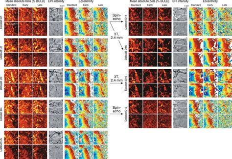 Decomposition Of Brain Activity Patterns Across Datasets And