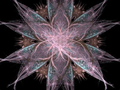 800 Free Star Shape Star Images Pixabay