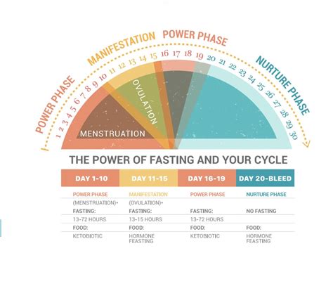 Learn How To Use The Fasting Cycle With Fast Like A Girl 🎥 Dr Mindy