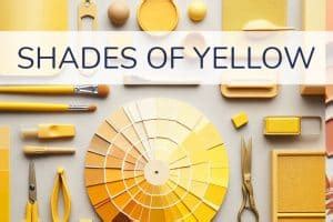 Shades Of Yellow Our 100 Most Popular Yellow Tones