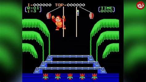 ویدئو دانکی کونگ ؛ یکی از معروف ترین گوریل های جهان