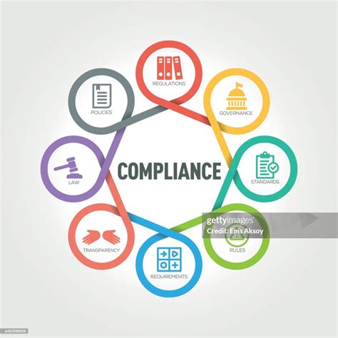 Compliance Infographic With 8 Steps Parts Options High Res Vector