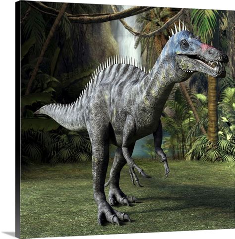 Suchomimus Dinosaur Artwork Great Big Canvas