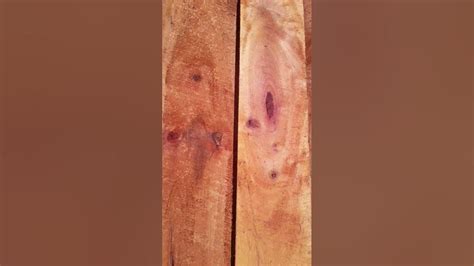 Serat Kayu Mahoni Youtube