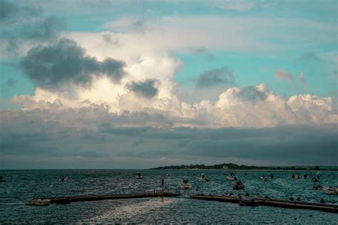 Summer Afternoon Photograph By Michael Dyer Fine Art America