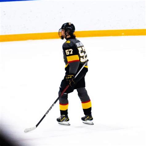 Zack Arsenault Stats Contract Salary And More