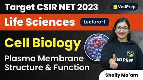 Plasma Membrane Structure And Function Cell Biology Csir Net Life