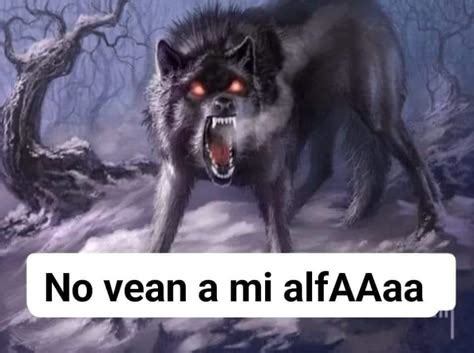 34 Ideas De Memes Lobo Imágenes Graciosas Imágenes Divertidas
