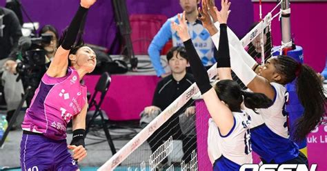 사진 김연경승리가 간절해 조선비즈