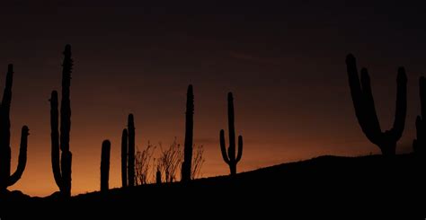 Alex Schenkhuizen Portfolio Figma