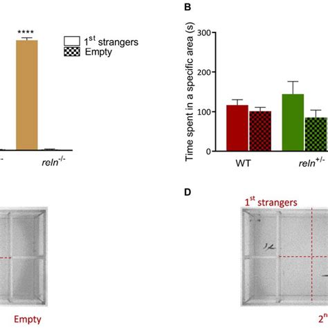Social Preference Test A Social Preference Wt Reln And Reln