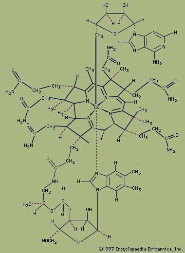 Coordination Compound Definition Examples And Facts