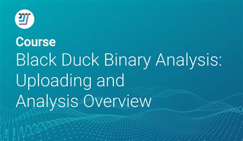 Black Duck Binary Analysis Uploading And Analysis Overview